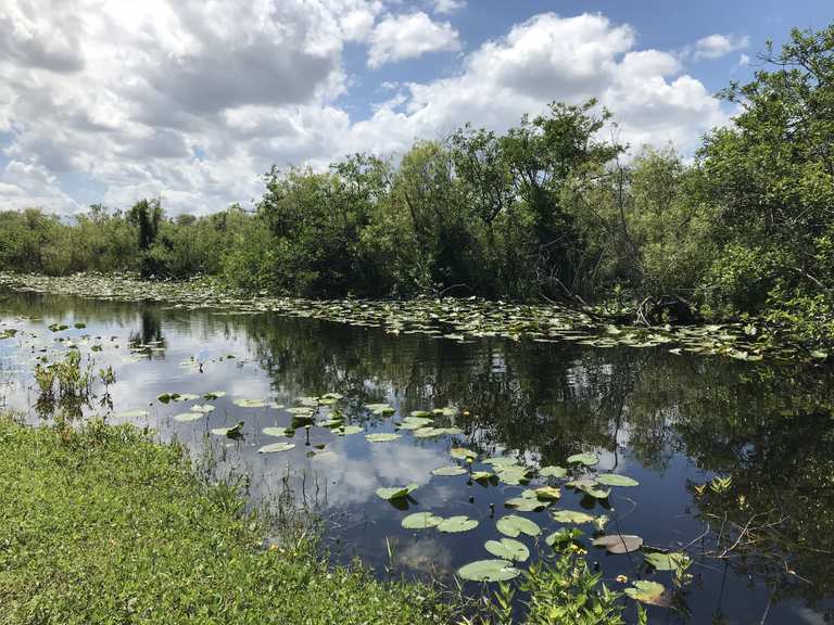 Shark Valley Loop Road — Everglades National Park | wandeling | Komoot