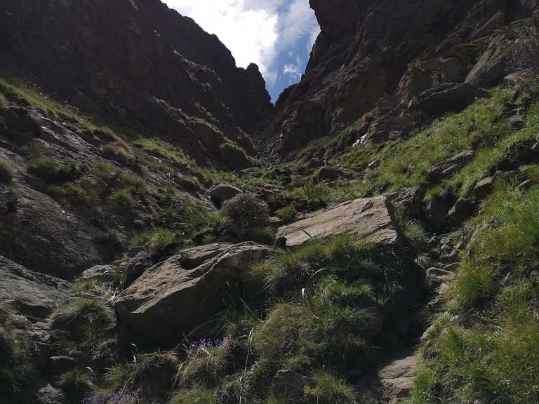 View Point – Chain ladders on Mt. Sentinel loop from Tshirela | hike ...