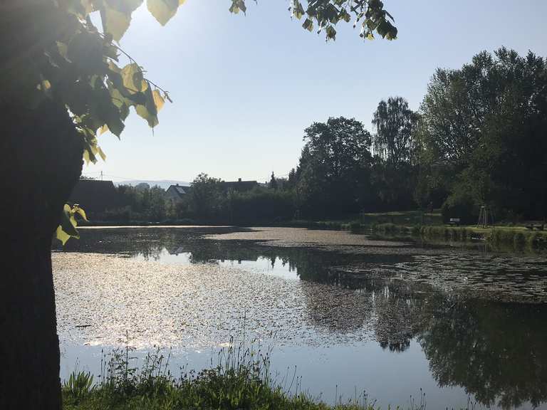 Bissinger See Routes for Walking and Hiking | Komoot