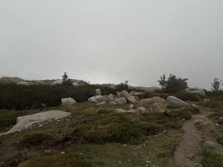 Pozzi – I Pozzi - Pozzines Corse Circuit à partir de Tricolacci ...