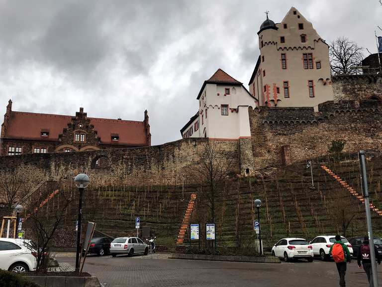 Burg Alzenau Routes for Walking and Hiking | Komoot