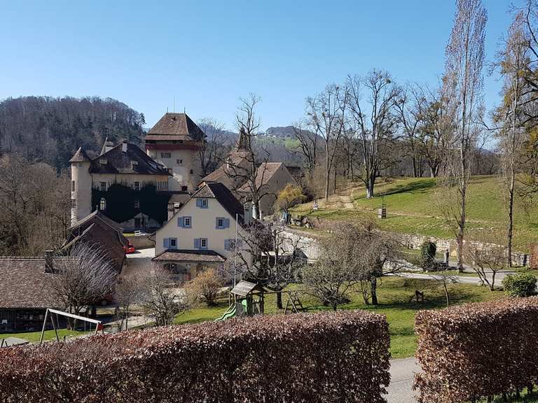 Schloss Wildenstein Routes for Walking and Hiking | Komoot