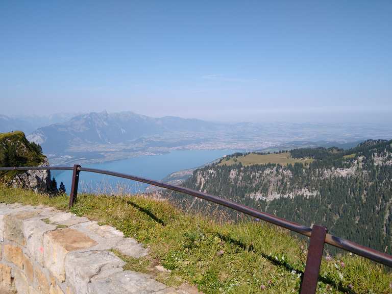 Niederhorn - Beatenberg, Interlaken | Hiking Tips & Photos | Komoot
