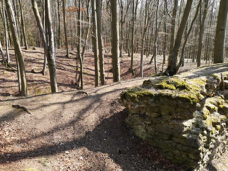 Burgruine Schauerberg: Mountainbike-Touren und -Trails | komoot