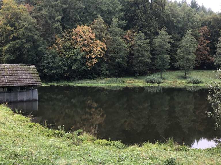 Michelsee bei Aglasterhausen-Michelbach : Radtouren und Radwege | komoot