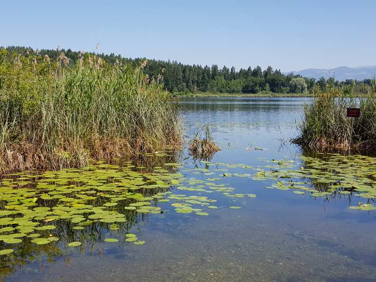 Kleinsee Routes for Walking and Hiking | Komoot