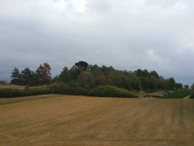 Hungerstein bei Westerhausen: Wanderungen und Rundwege | komoot