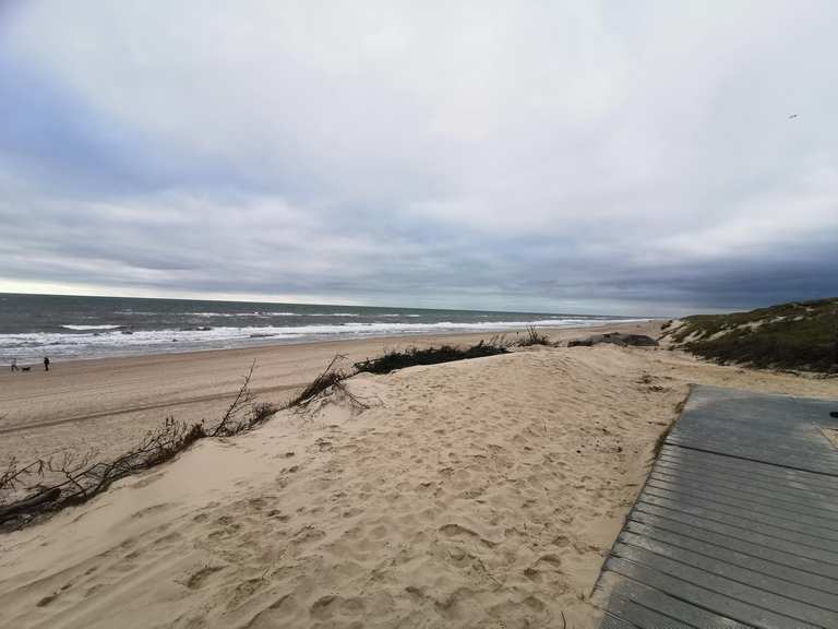 Sondervig Strand Routes for Walking and Hiking | Komoot