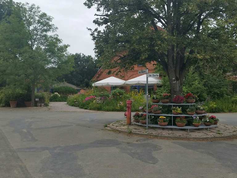 Michaelshof Sammatz/Wendland: Wanderungen und Rundwege | komoot