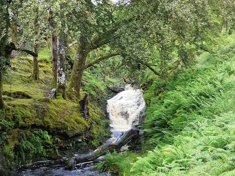 Tormore Forest loop from Calligarry — Isle of Skye | hike | Komoot