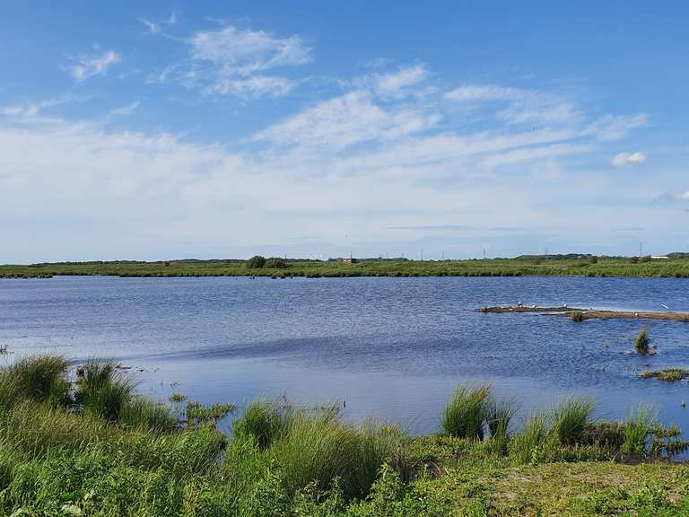 Lunt meadows nature reserve : Radtouren und Radwege | komoot
