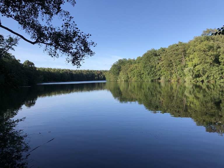 Krumme Lanke: Wanderungen und Rundwege | komoot