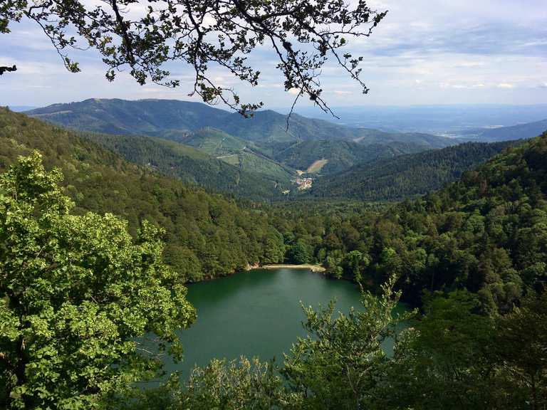 Magnifique vue sur le lac des Perches - Itinéraires de rando et marche ...