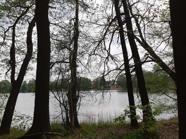 Großer Seddiner See: Wanderungen und Rundwege | komoot