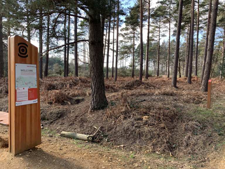 Swinley Forest Mountain Bike Trails – Hiking & Cycling Routes | Komoot