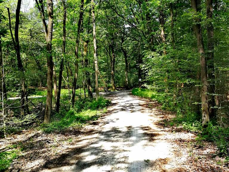 Schwanheimer Wald - Cycle Routes and Map | Komoot