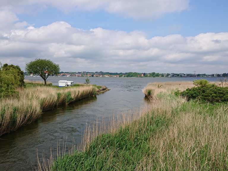 Ostseefjord Schlei: Wanderungen und Rundwege | komoot