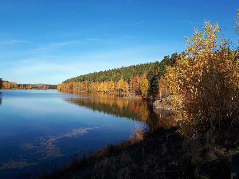 Feisnitz-Stausee: Mountainbike-Touren und -Trails | komoot
