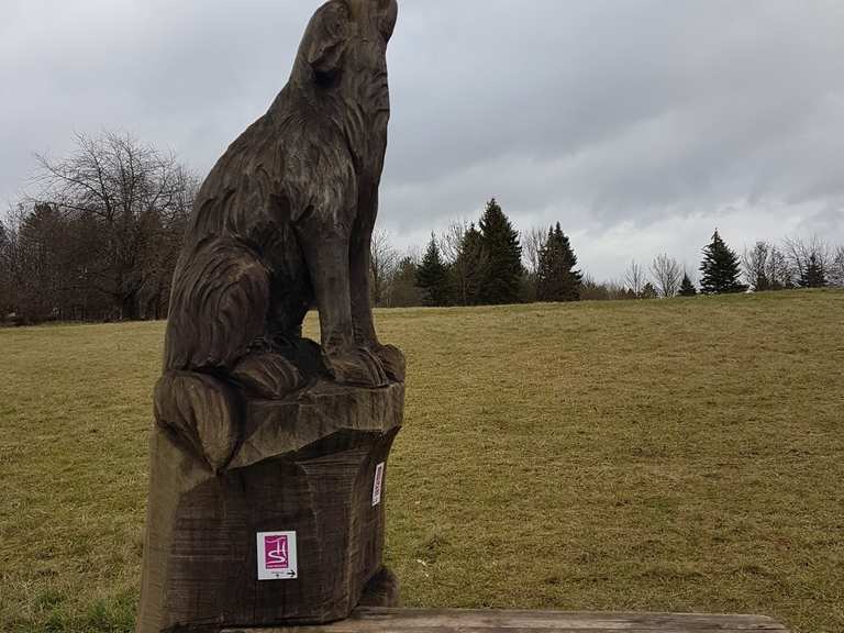 Merzig Wolfspark Routes for Walking and Hiking | Komoot