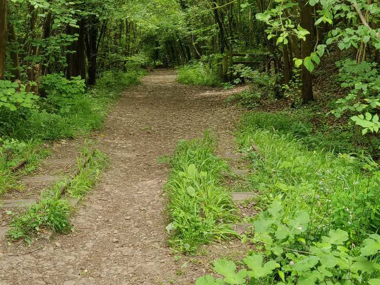 Llanymynech Rocks Nature Reserve: Wanderungen und Rundwege | komoot