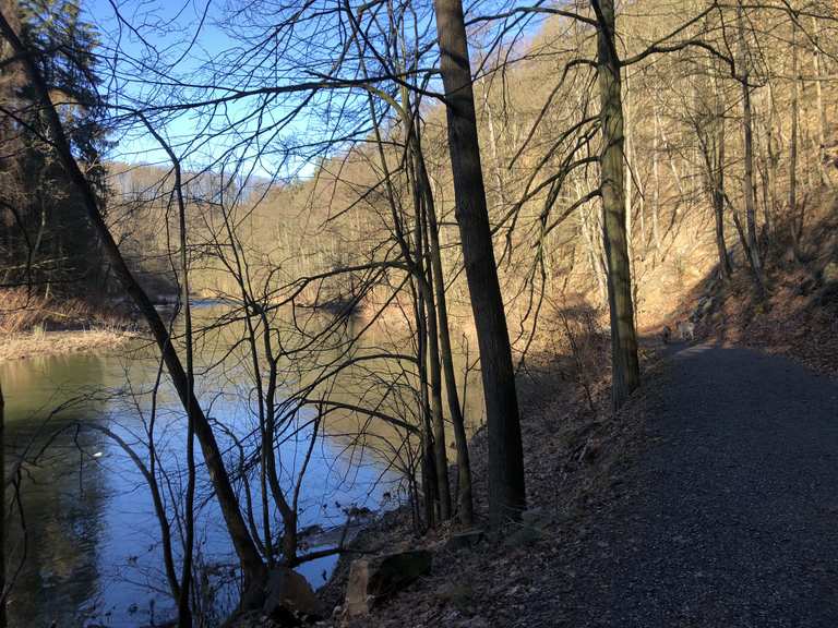 Zwickauer Mulde: Wanderungen und Rundwege | komoot