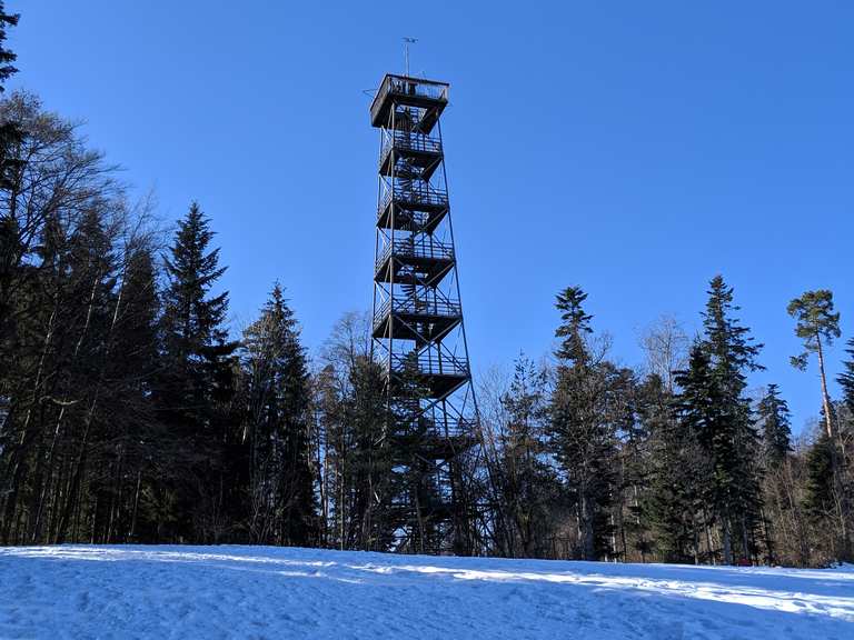 Alter Bachtelturm auf dem Pfannenstiel: Wanderungen und Rundwege | komoot