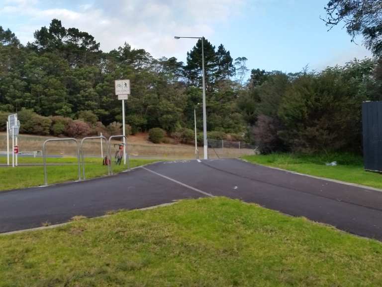 Cycle lane West Auckland to Northshore (or return) - Road Cycle Routes ...