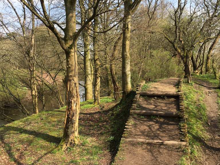 Kelvin Walkway - Routes for Walking and Hiking | Komoot