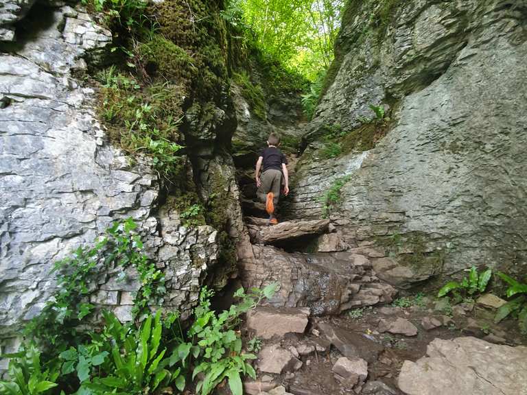 Ebbor Gorge Routes for Walking and Hiking | Komoot
