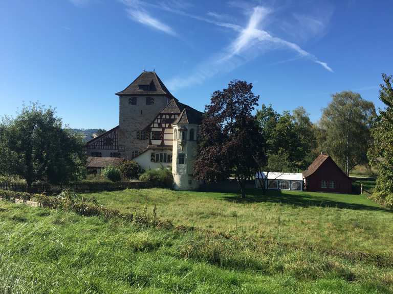 Schloss Hegi : Radtouren und Radwege | komoot