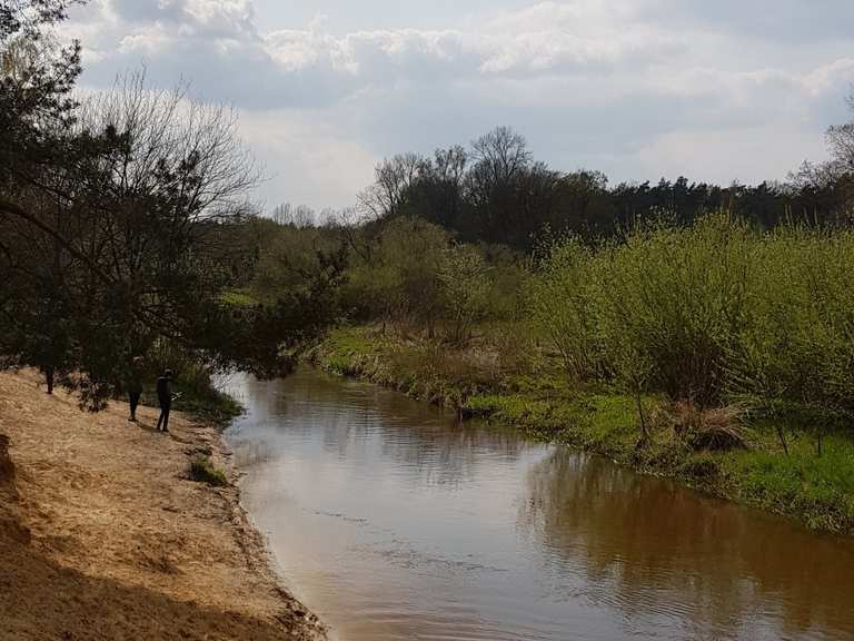 Lutterzand wandelroutes en hikes | Komoot