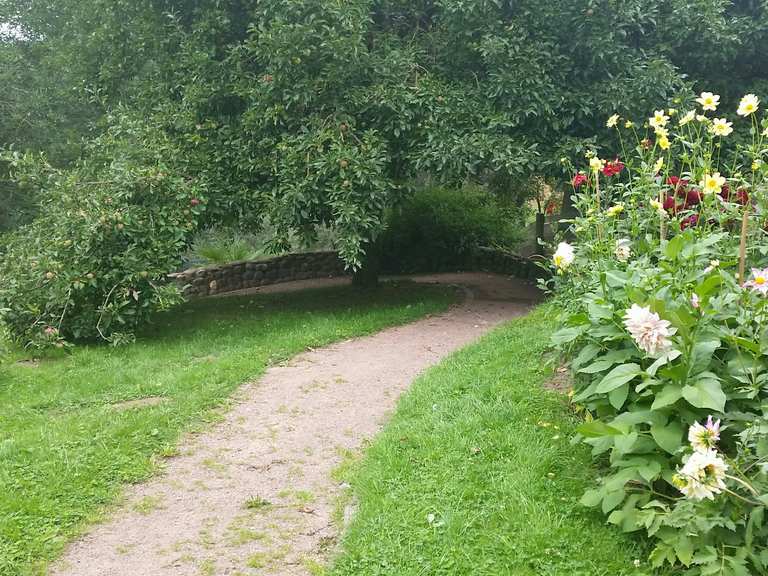 Michaelshof Sammatz/Wendland: Wanderungen und Rundwege | komoot