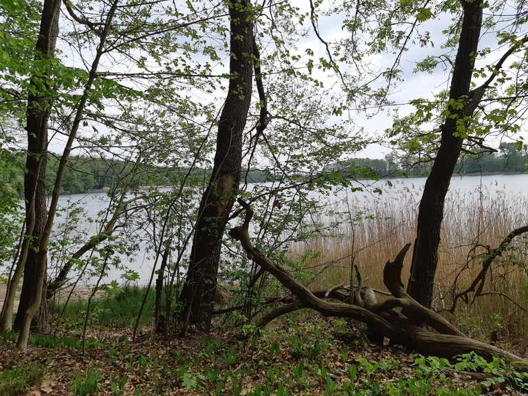Großer Seddiner See: Wanderungen und Rundwege | komoot