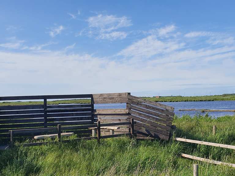 Lunt meadows nature reserve : Radtouren und Radwege | komoot