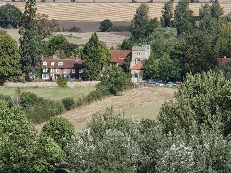 Wittenham Clumps Routes for Walking and Hiking | Komoot