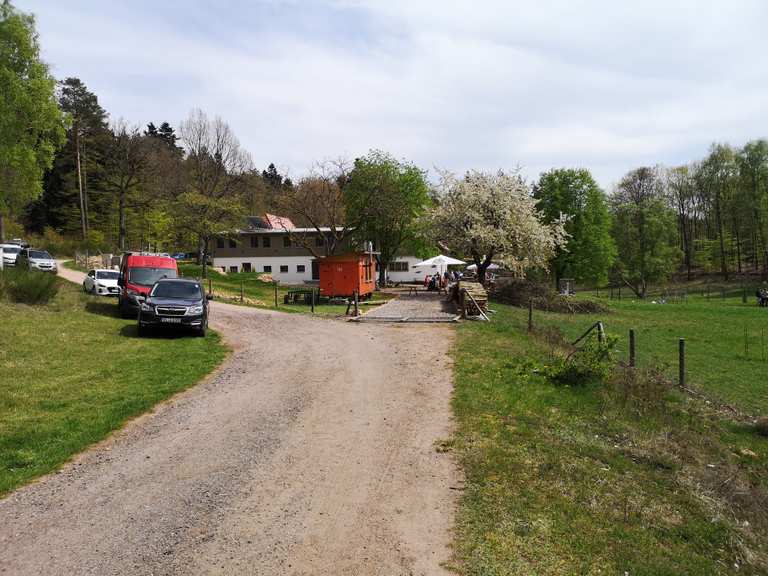 Forsthaus Annweiler/Schwarzer Fuchs Routes for Walking and Hiking | Komoot