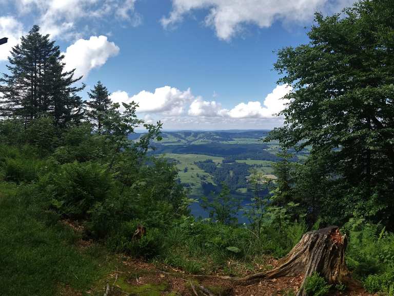 View of Großer Alpsee from Gschwender Horn: Wanderungen und Rundwege ...