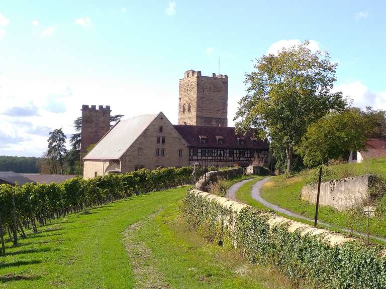 Schloss Neipperg - Mountain Bike Trails & Tracks | Komoot