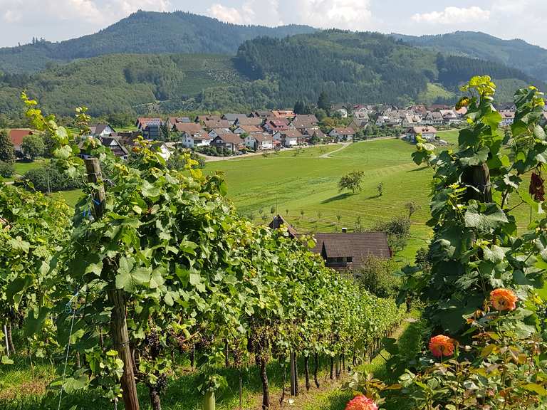 Oberkircher Brennersteig – quality trails in the Black Forest | hike ...