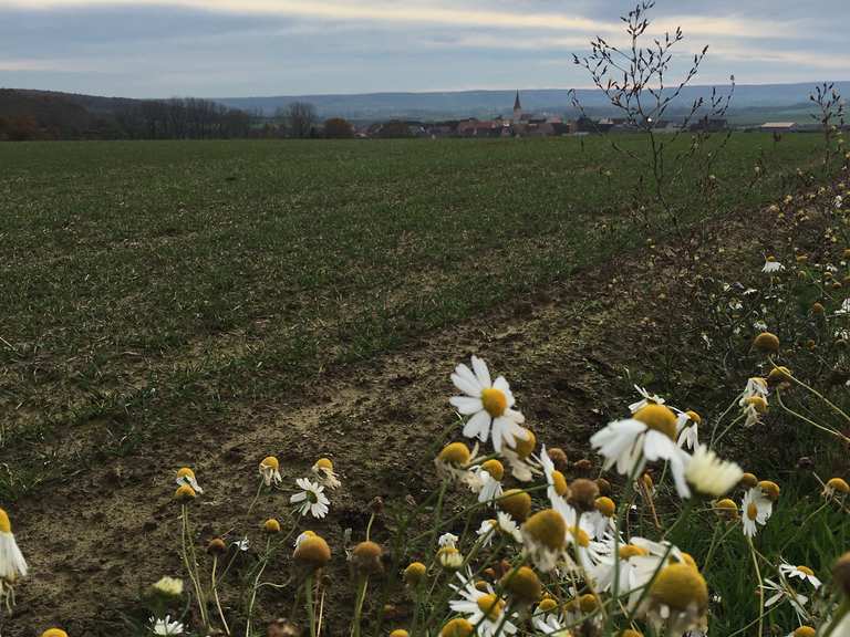 Scultura in legno dell'Imperatrice Cunegonda – Percorsi escursionistici ...