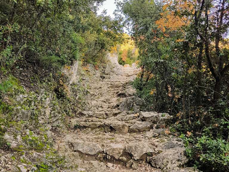 Sentier Nietzsche - Routes for Walking and Hiking | Komoot