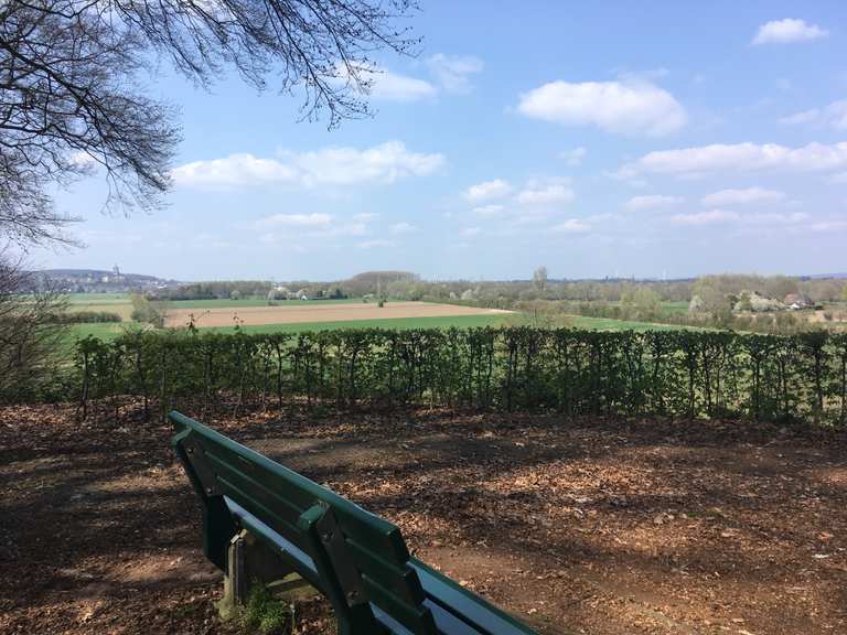 Papenberg: Wanderungen und Rundwege | komoot