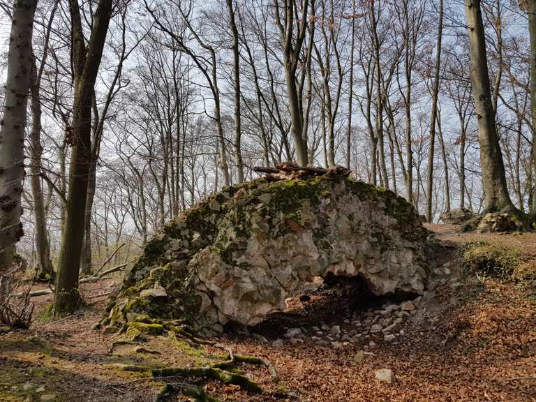 Ruine Hirschburg: Wanderungen und Rundwege | komoot