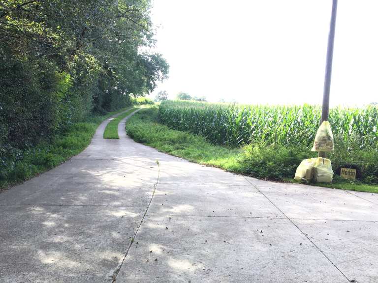 Betonspurweg bei Schiol: Radtouren und Radwege | komoot