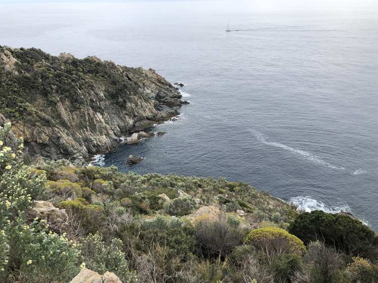 Cap Lardier - Itinéraires de rando et marche | Komoot