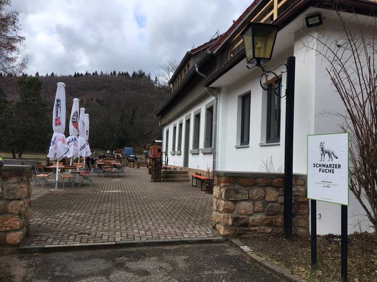 Forsthaus Annweiler/Schwarzer Fuchs Routes for Walking and Hiking | Komoot