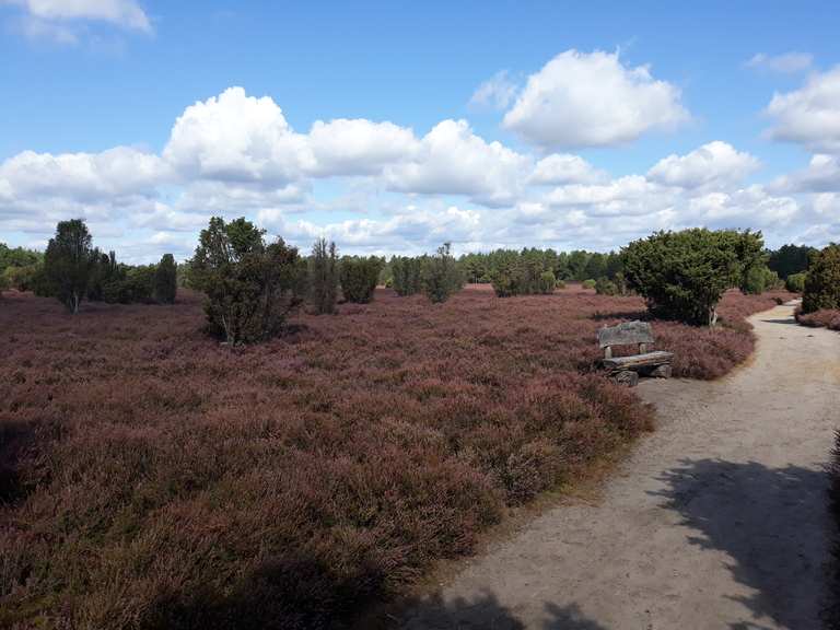 Heiliger Hain - Routes for Walking and Hiking | Komoot