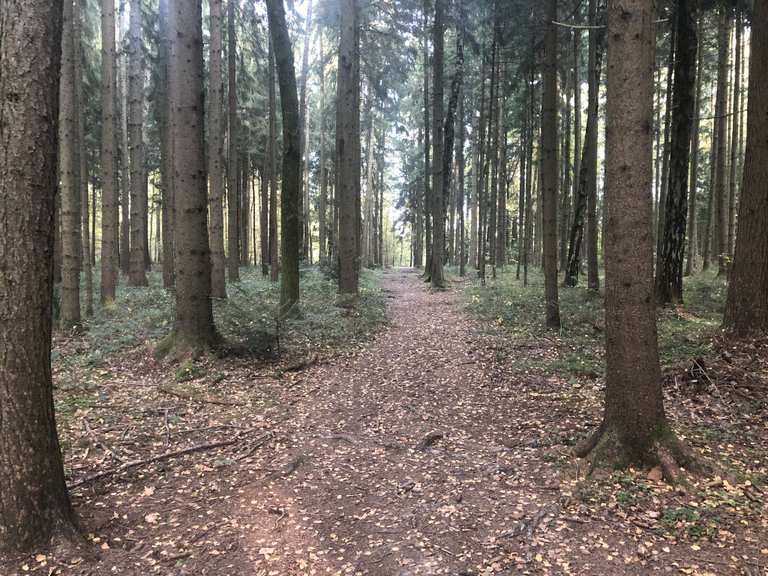 Aubinger Lohe: Mountainbike-Touren und -Trails | komoot