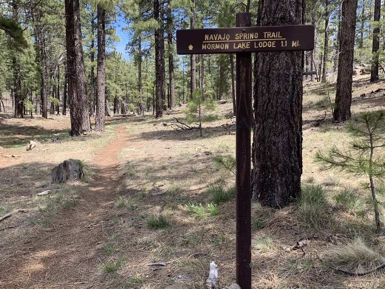 Navajo Springs Trail & water source Routes for Walking and Hiking | Komoot