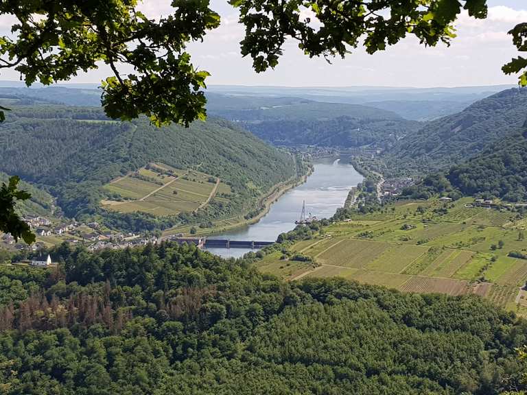 Calmont Höhenweg wandelroutes en hikes | Komoot
